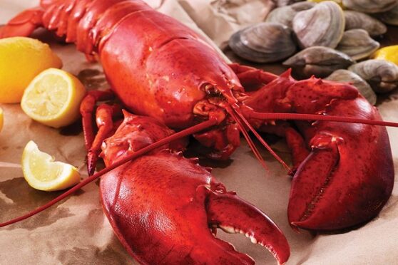 6 Types of Seafoods You'll Fall In Love With - African Food Network6 s