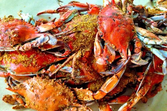 6 Types of Seafoods You'll Fall In Love With - African Food Network6 s
