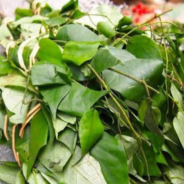 10 Amazing African Vegetables To Use In Your Daily Meal - African Food ...