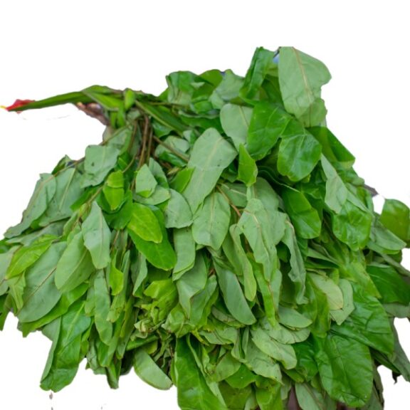 10 Amazing African Vegetables To Use In Your Daily Meal - African Food ...