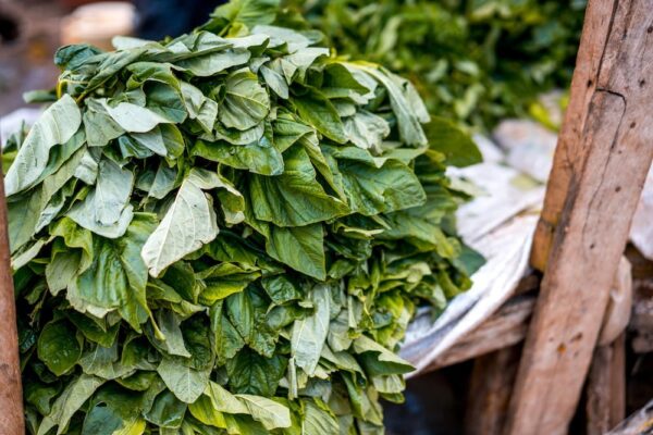 10 Amazing African Vegetables To Use In Your Daily Meal - African Food ...