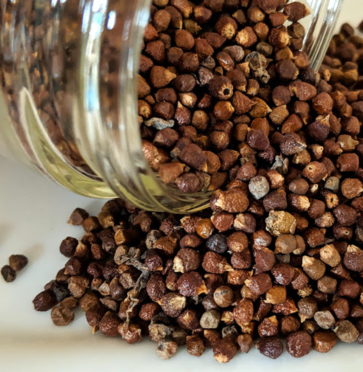 5 Natural African Spices You Should Incorporate Into Your Daily Meal ...