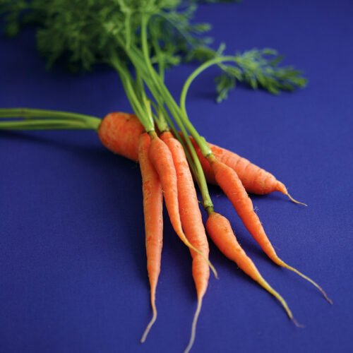 7 Healthy Vegetables You Would Love - African Food Network