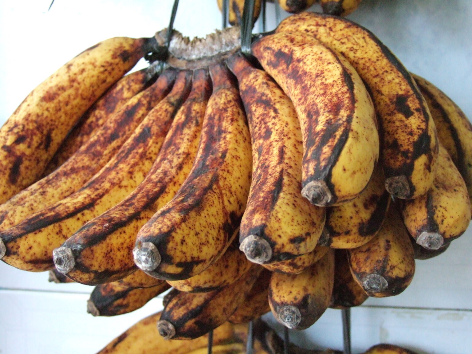 10 Types of Bananas I Bet You Never Knew Existed - African Food Network