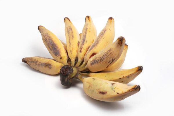 10 Types of Bananas I Bet You Never Knew Existed - African Food Network