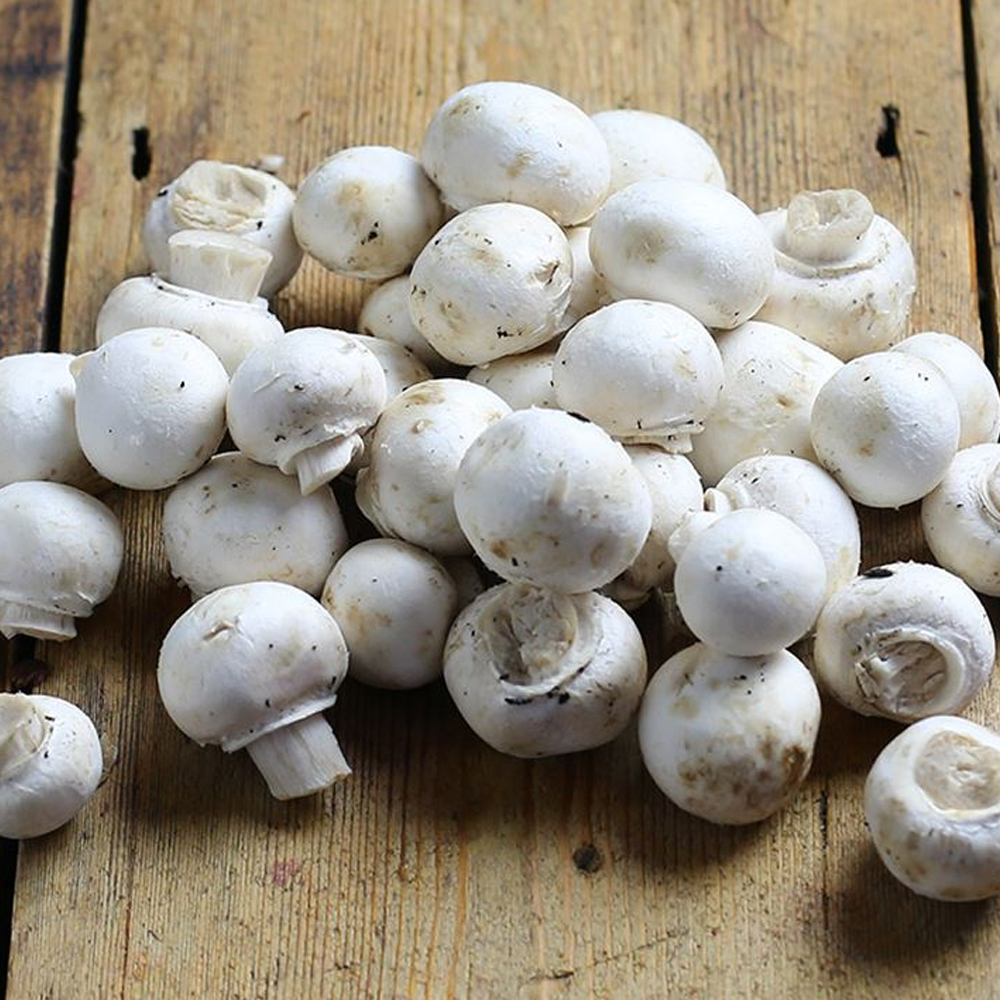 10 Amazing Edible Mushrooms That Will Add Some Extra Spice To Your Meal ...