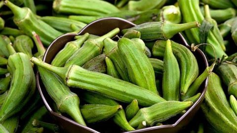 5 Easy African Okra Recipes You Would Like - African Food Network