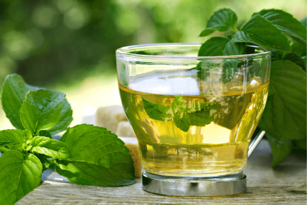 Lemon Leaf: A Perfect Mix of Wellness and Aroma - African Food Network