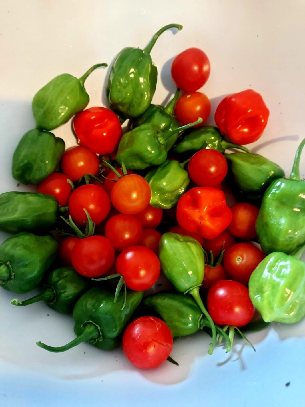 Scotch Bonnet vs Habanero - Differences and Similarites - African Food ...