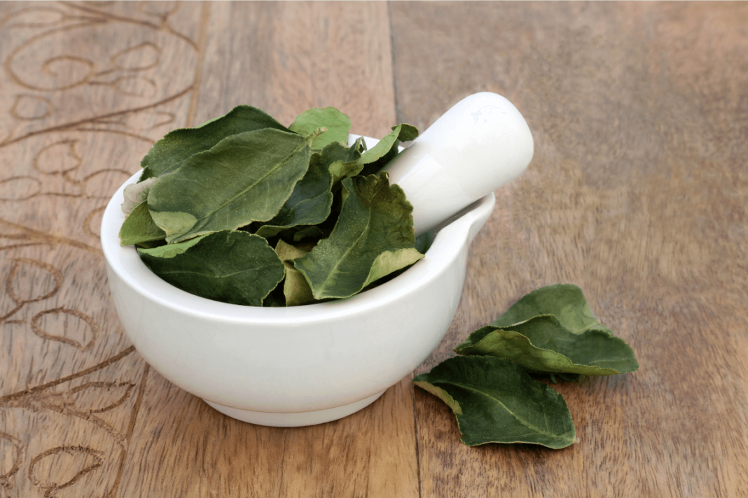 Lime Leaf: The Underrated Citrus to Spice up Your Dishes - African Food ...